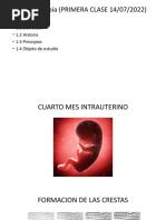 Diferencia Entre Huella Dactilar e Impresión Dactilar | PDF