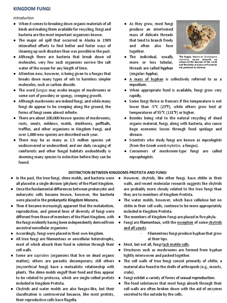 Kingdom Fungi | PDF | Fungus | Mold