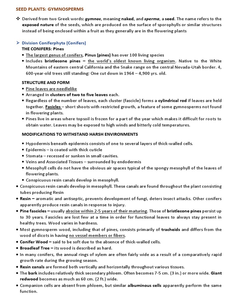 Gymnosperm and Angiosperm | PDF | Leaf | Plants