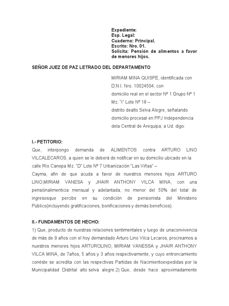 Jaime caceres-ALIMENTOS | PDF | Ley Pública | Justicia