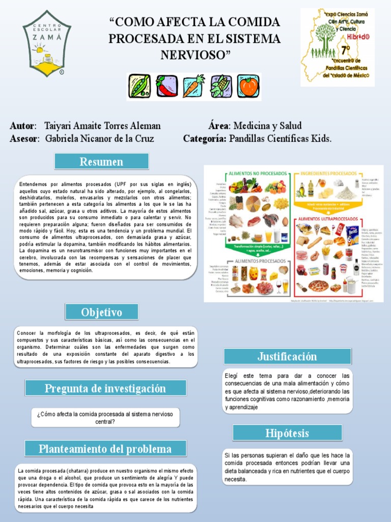 Lona Comida Procesada | PDF | Alimentos | Dieta