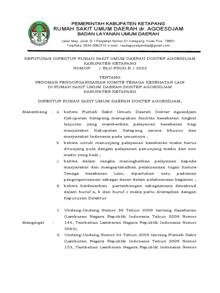 SK Pedoman Pengorganisasian Nakes Lain 2022 | PDF