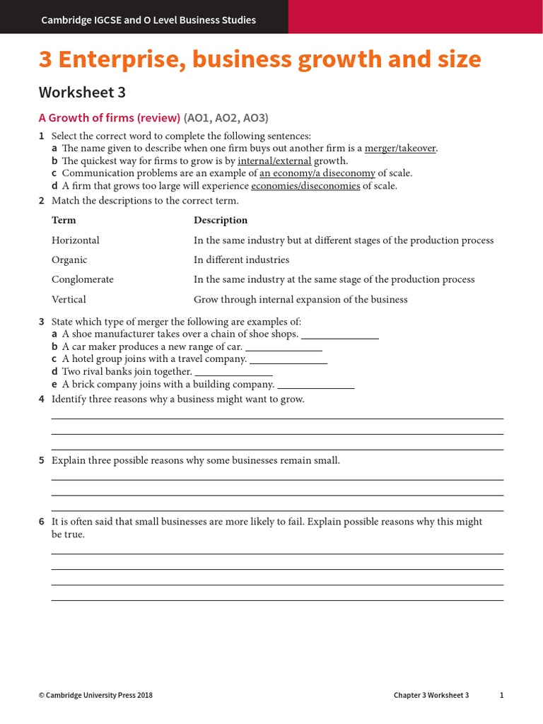 IGCSE-OL Bus CH 3 Worksheet | PDF | Economies Of Scale | Mergers And ...