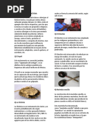 Significado de Ayotl en Mesoamérica | PDF