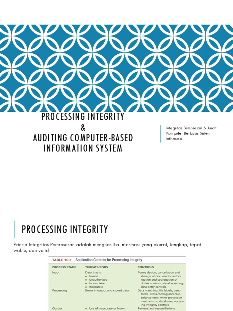 Processing Integrity & Auditing Computer-Based Information System | PDF