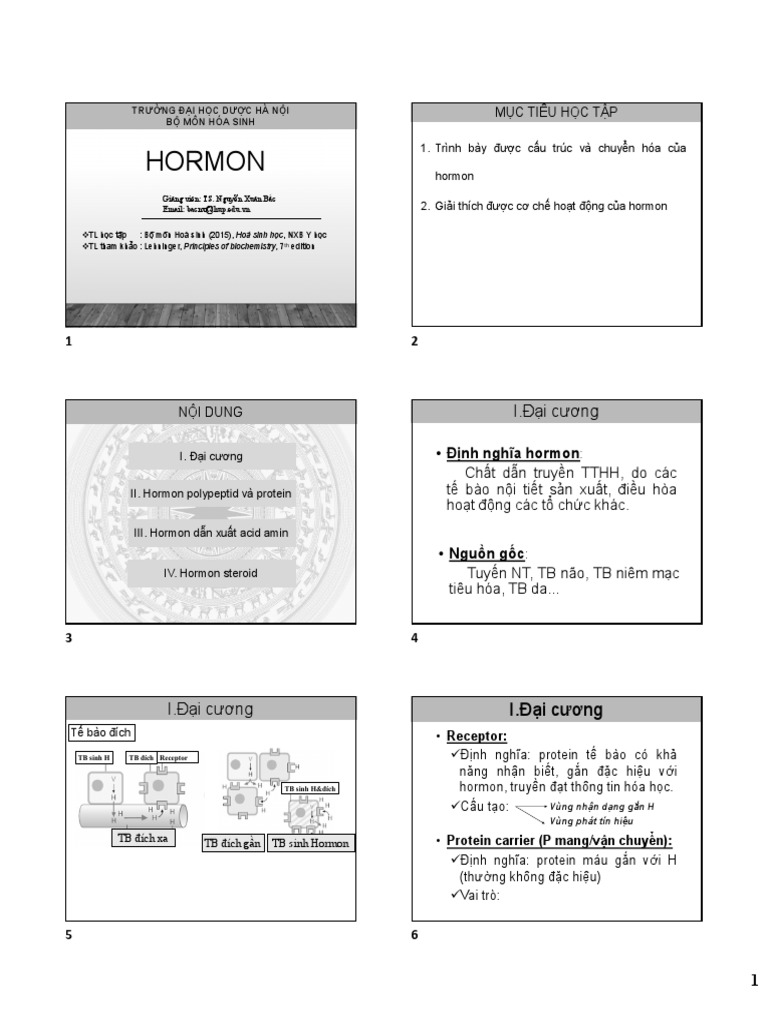 2022 Enzym K75 Handout | PDF