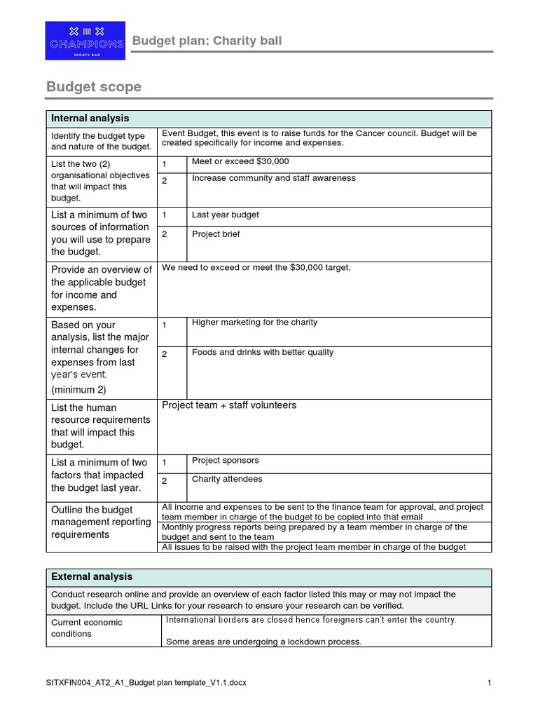 Raising Funds and Awareness: A Comprehensive Budget Plan for a Charity ...
