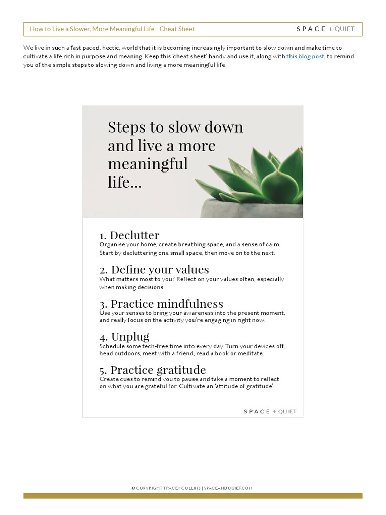 Meaningful Life Cheat Sheet | PDF