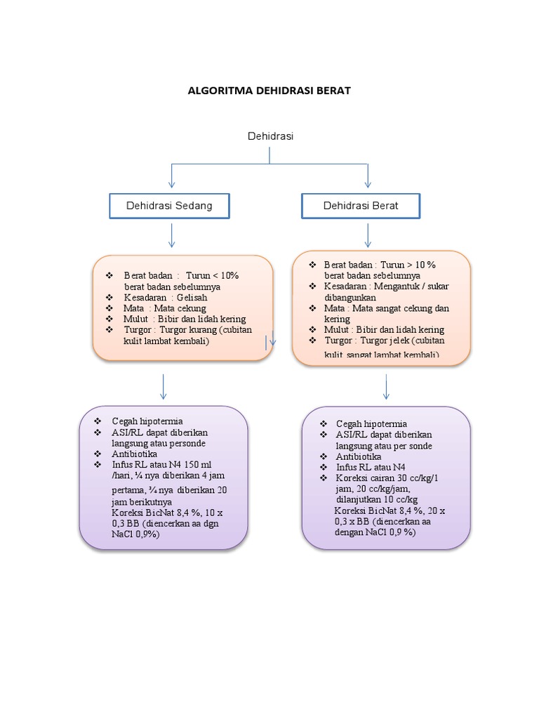 Algoritma Dehidrasi Berat | PDF