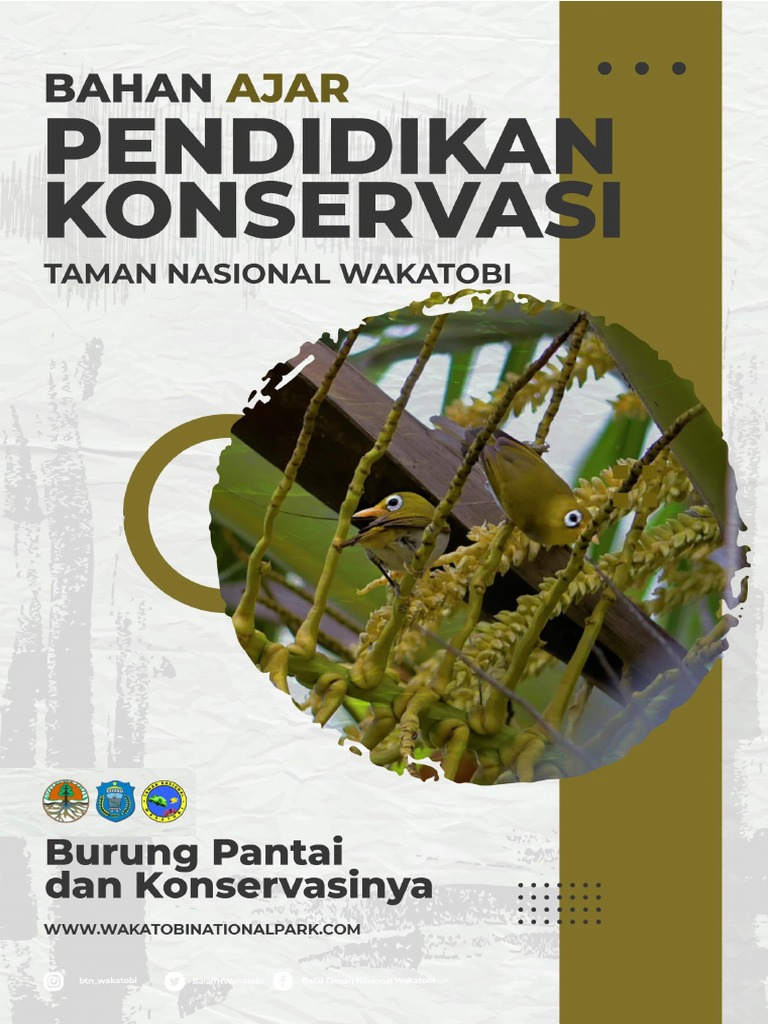 Modul Burung Pantai | PDF | Ilmu Sosial | Sains & Matematika