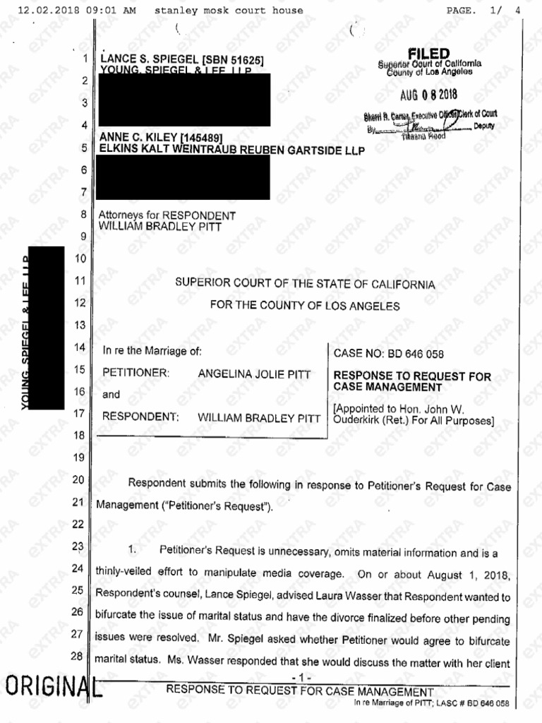 Brad Pitt Court Docs Watermark | PDF