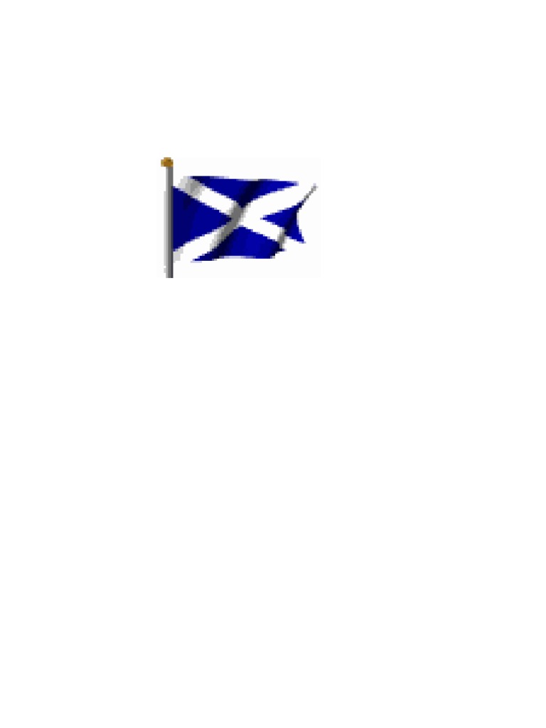 Logo & Saltire | PDF