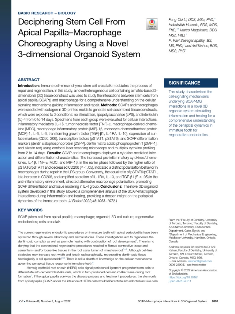 Deciphering Stem Cell From Apical Papilla– M | PDF | Macrophage ...