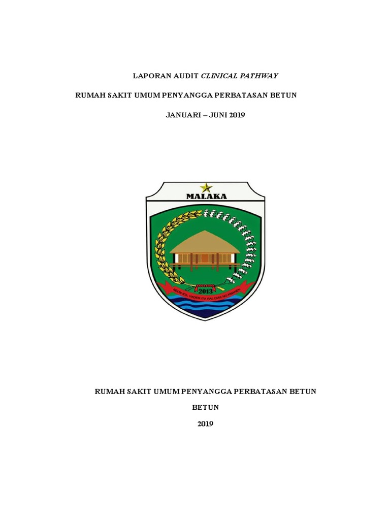 Analysis Of Clinical Pathway Implementation Audit Report Pdf