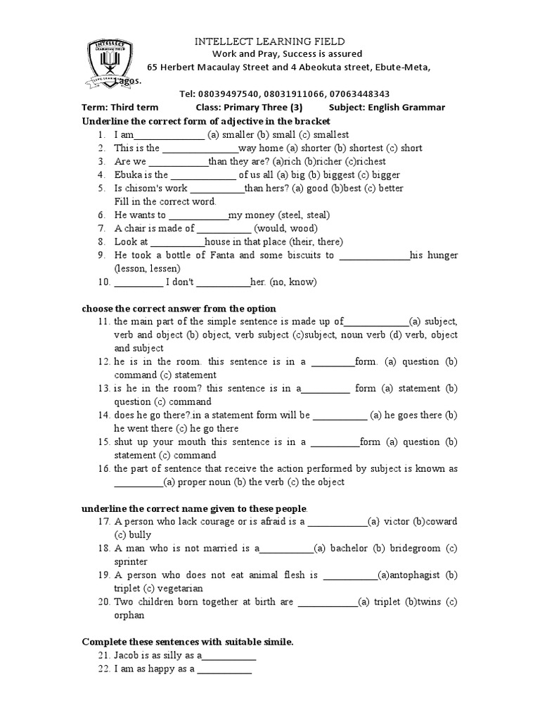 English Grammar Pry 3 | PDF | Verb | English Grammar