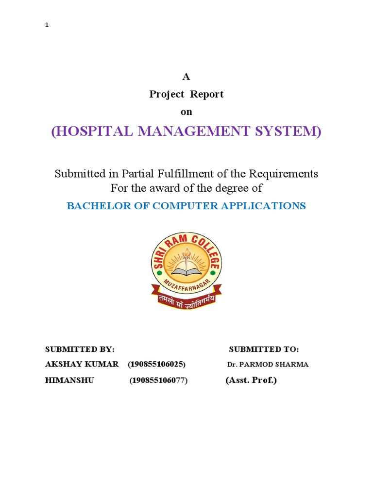 Akshay, Himanshu | PDF | Information Technology Management | Computing