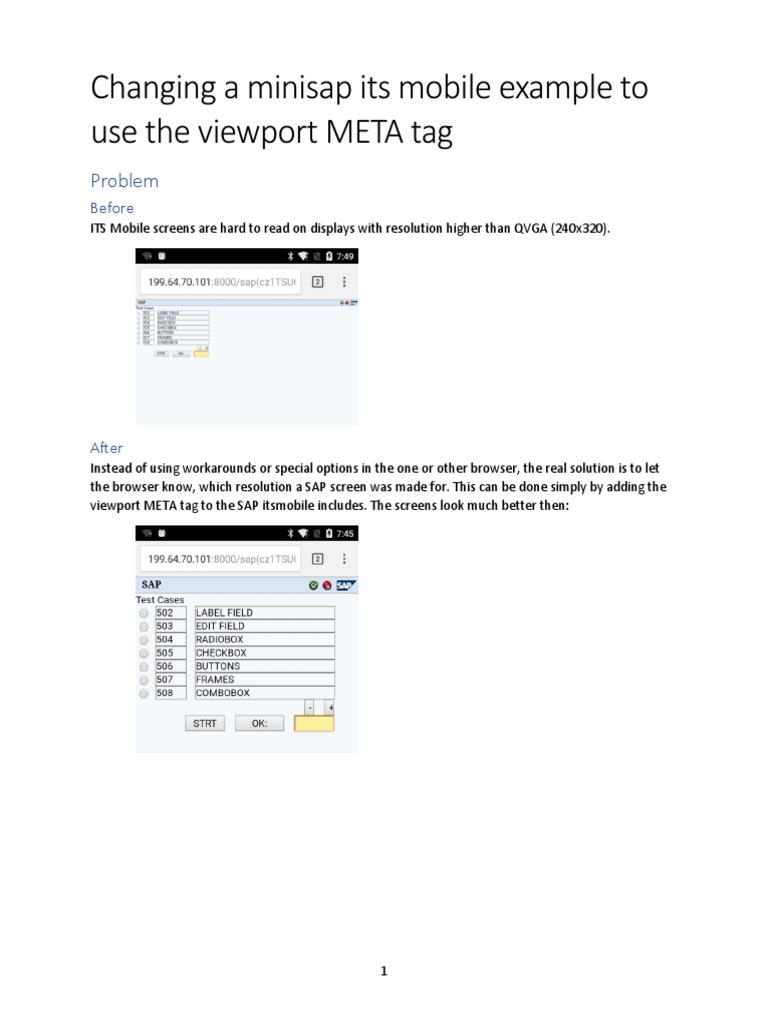 Minisap Viewport v1.1 | PDF | Graphical User Interfaces | Information Age