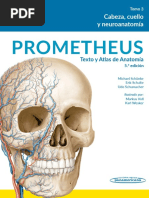 Teoría de La Matriz Funcional de Melvin Moss | PDF | Cráneo | Ortodoncia