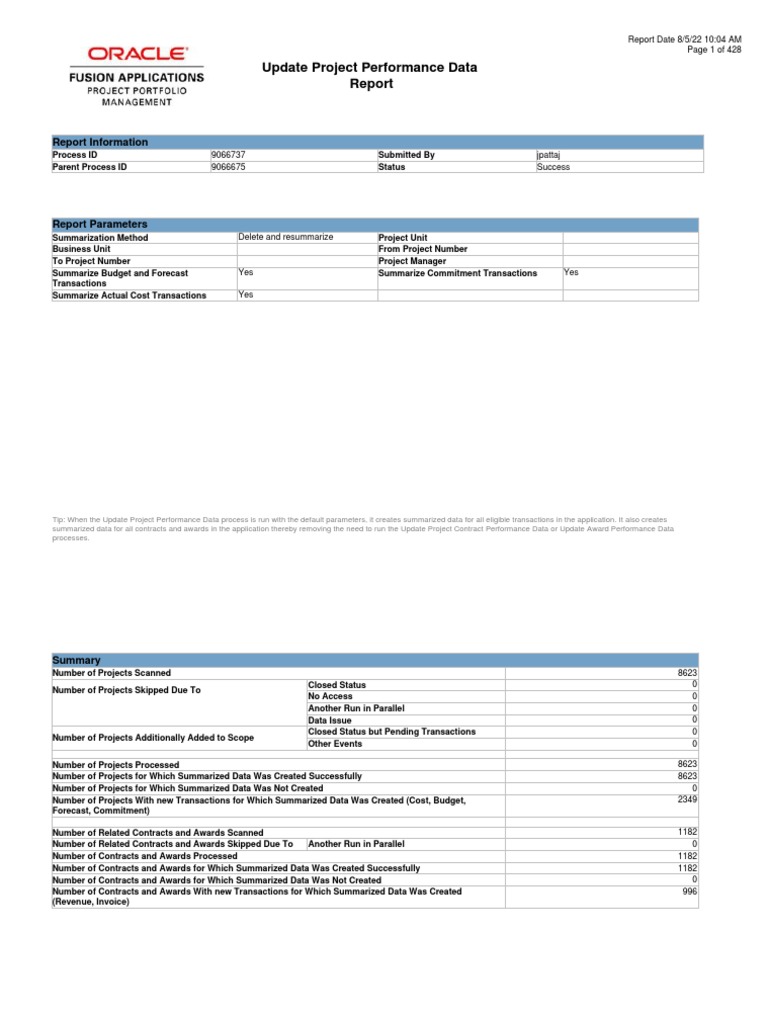 Summarization - Update Project Performance Data Execution Report | PDF ...