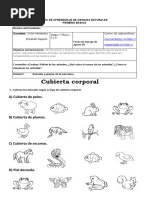 Cubierta Corporal de Los Animales | PDF