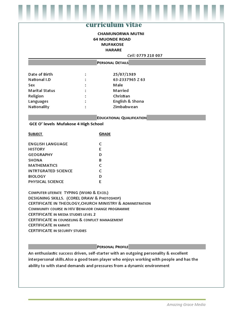 Curriculum Vitae Design 1 - Chamunorwa | PDF | Zimbabwe