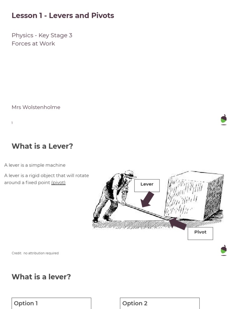 Lesson 1 - Levers and Pivots: Physics - Key Stage 3 Forces at Work ...