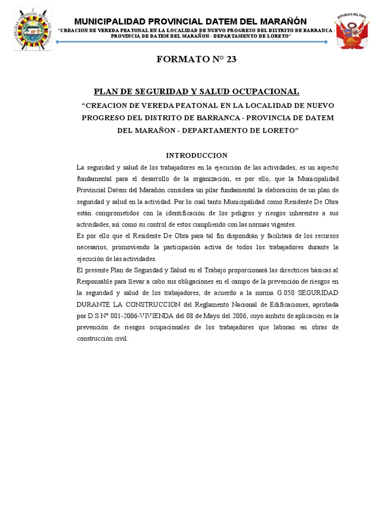 Formato Nº23 Plan de Seguridad y Salud Ocupacional | PDF | Seguridad y ...