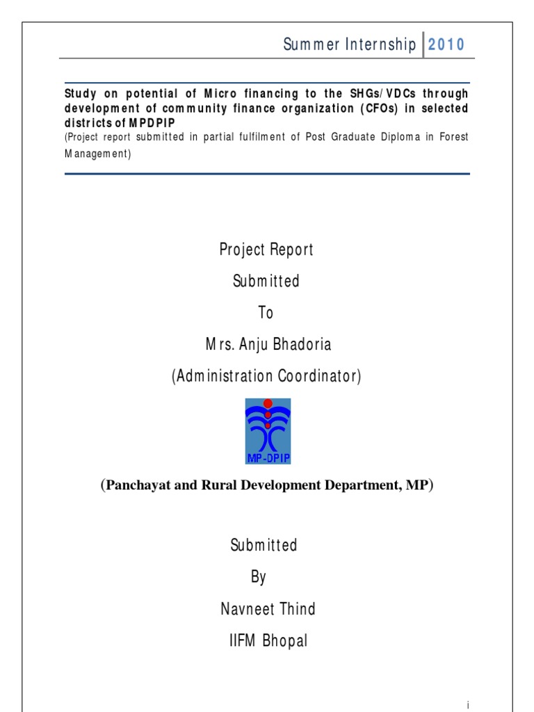 Internship Report Finance | PDF