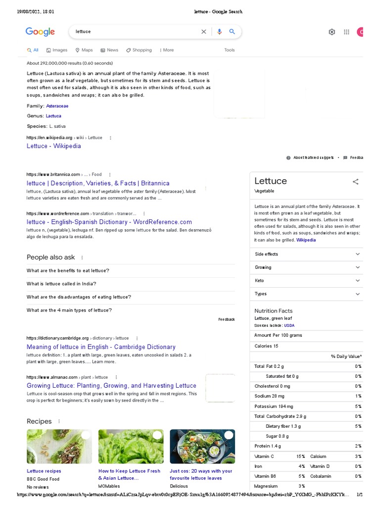 Le Uce: Lettuce - Wikipedia | PDF | Lettuce | Vegetables