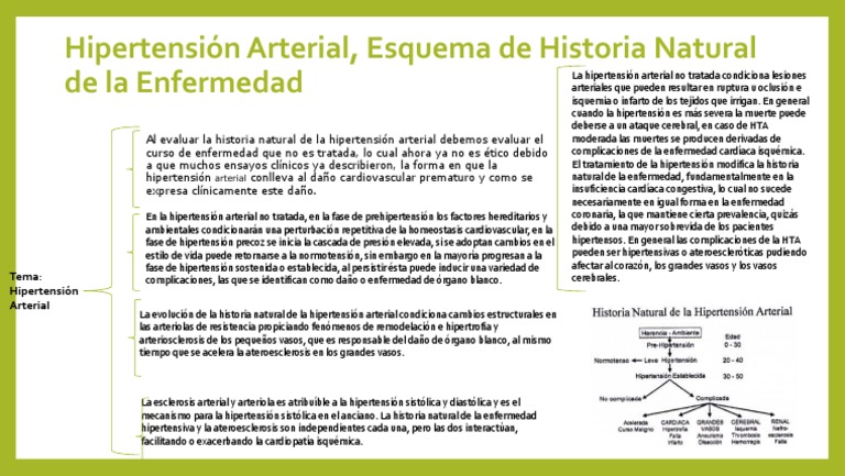 Hipertensión Arterial, Esquema de Historia Natural de | PDF ... Hipertensión Arterial, Esquema de Historia Natural de | PDF ...