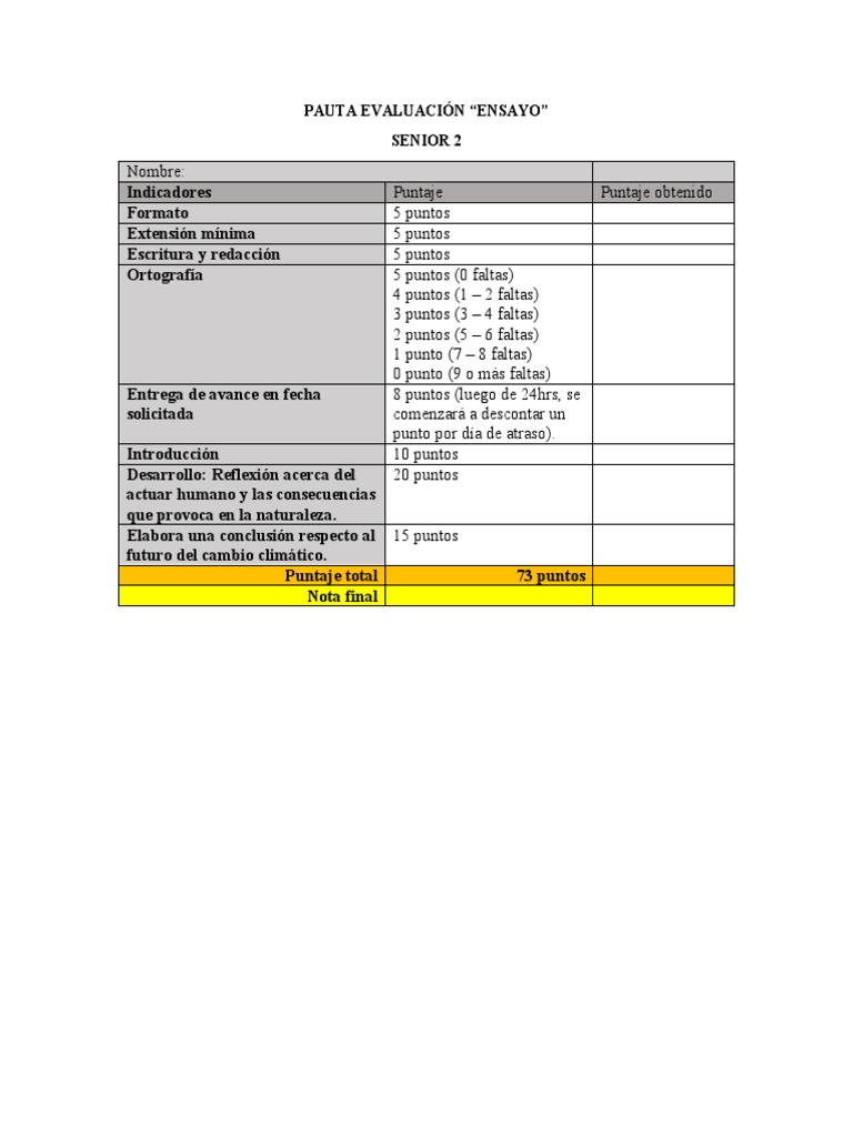 Pauta de Evaluación para Ensayo Senior 2 | PDF