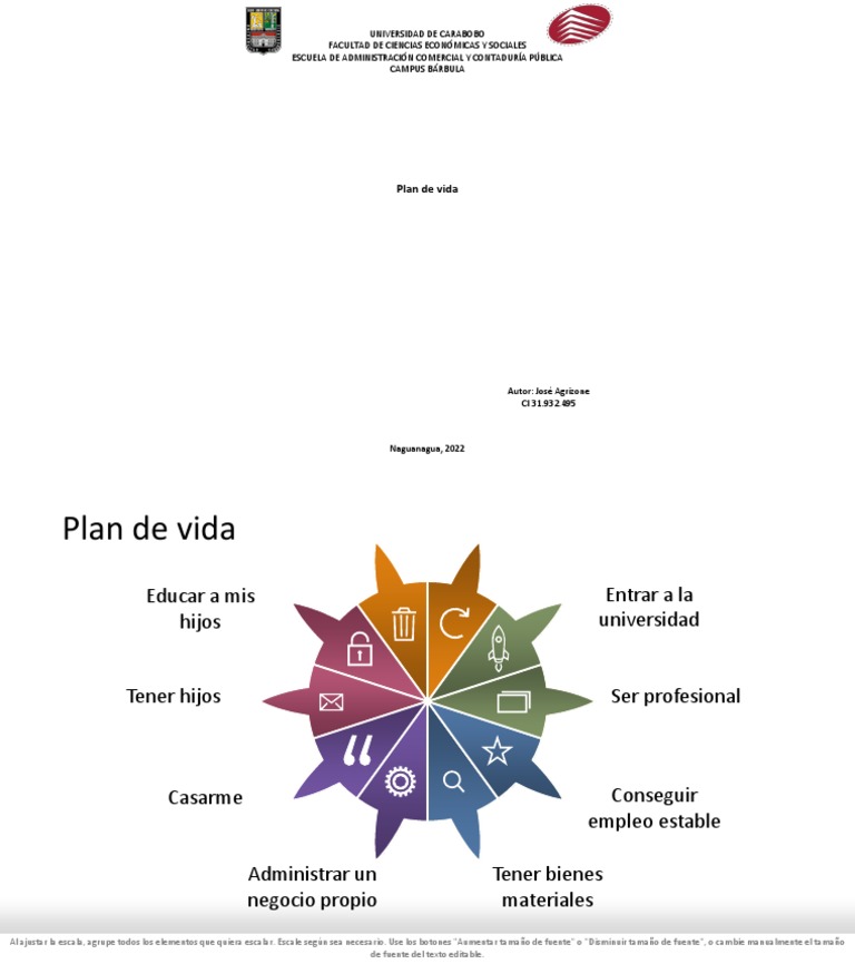 Mapa Mental. Plan de Vida | PDF