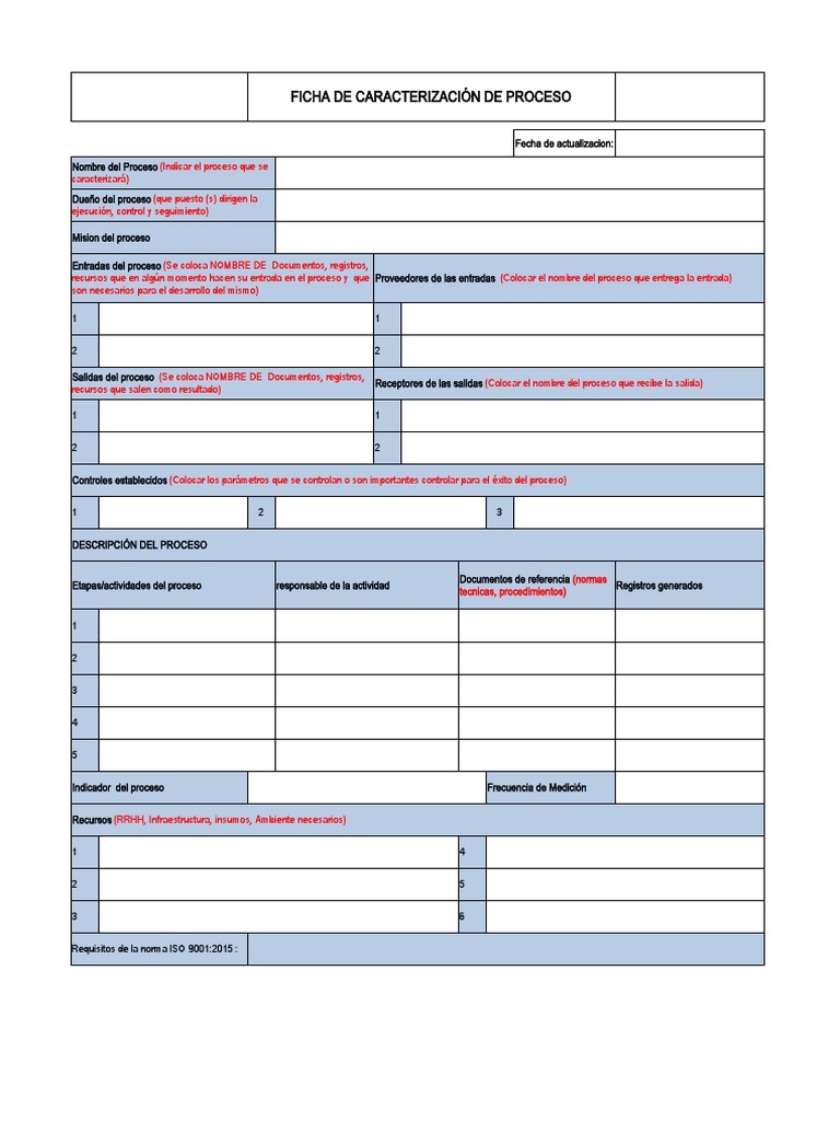 1.0 Formato - Ficha de Caracterización de Procesos | PDF