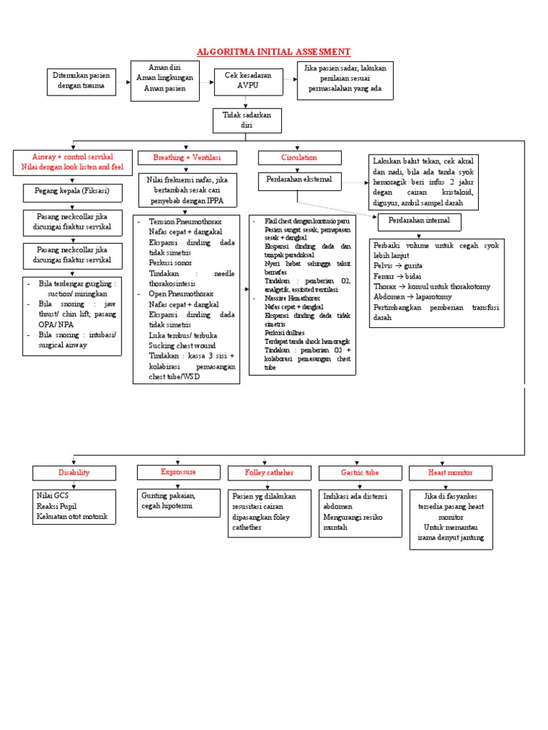 Algoritma Initial Assesment | PDF