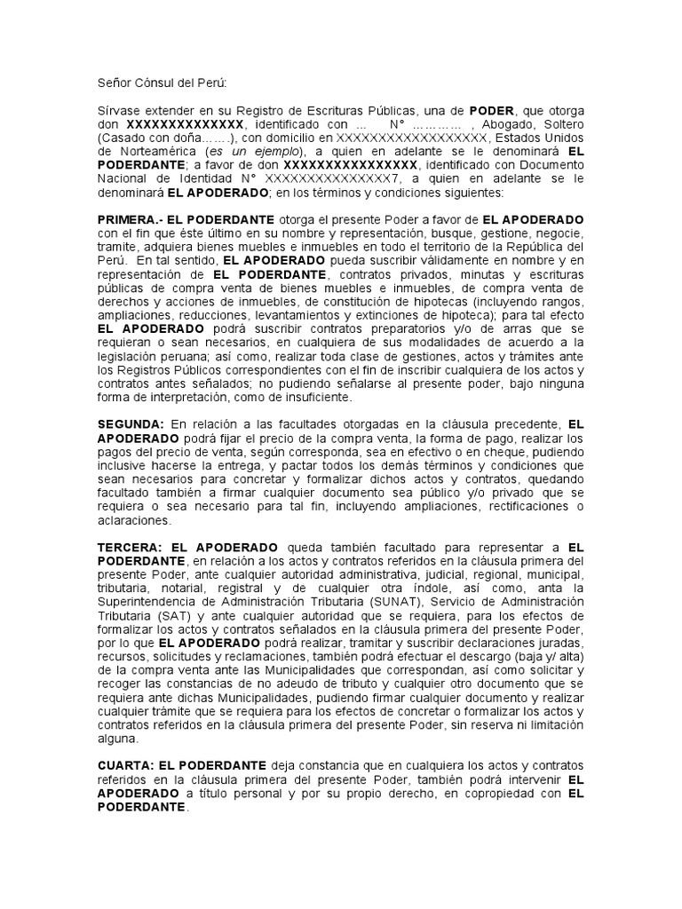 Poder Consular Modelo Compra | PDF | Gobierno | Justicia