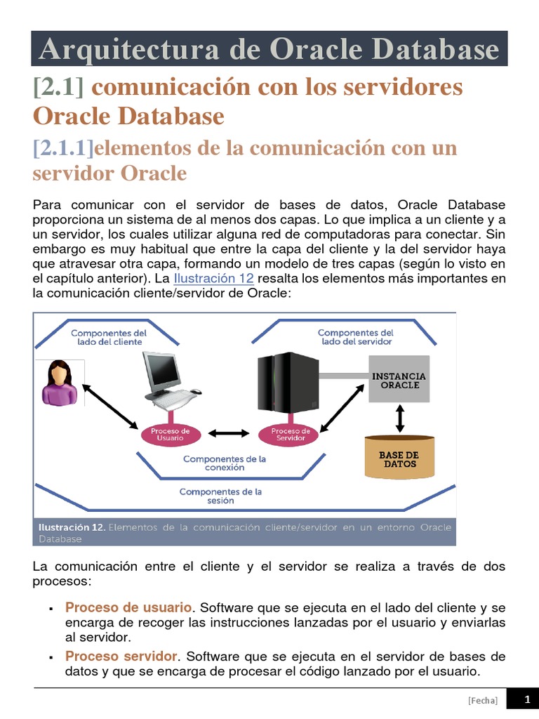 Arquitectura de Oracle Database | PDF | Caché (Computación) | Almacenador intermediario de datos