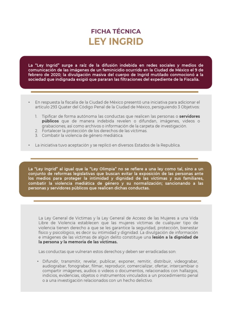 Ley Ingrid | PDF | Justicia | Crimen y violencia