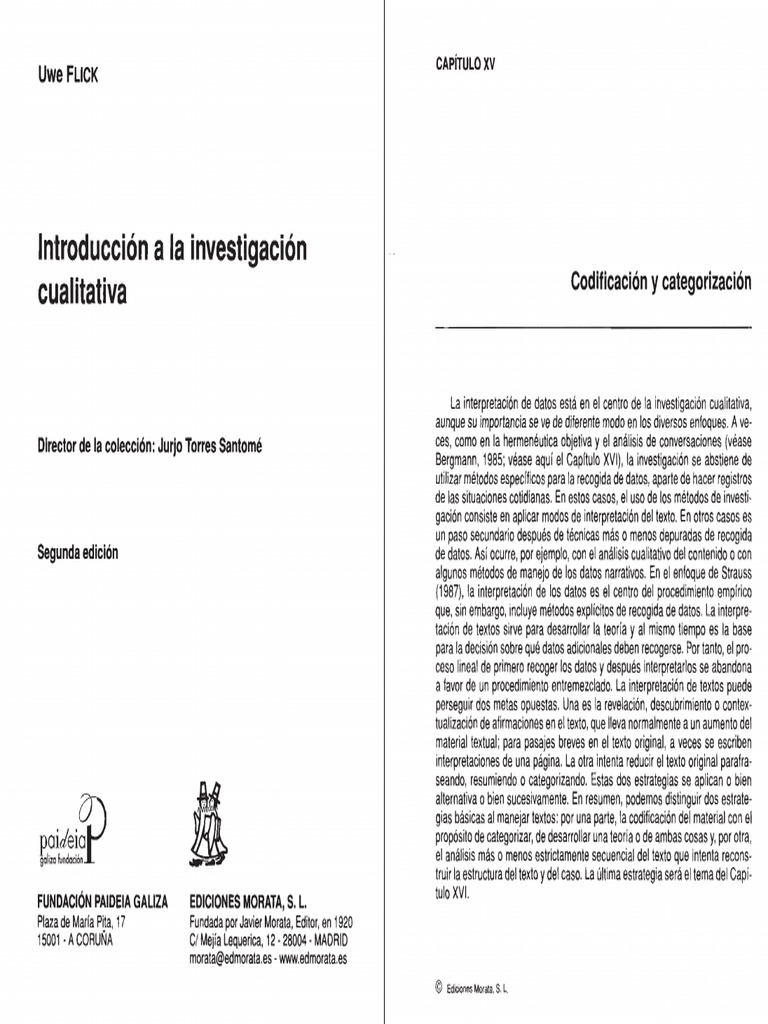 Flick Tecnicas | PDF