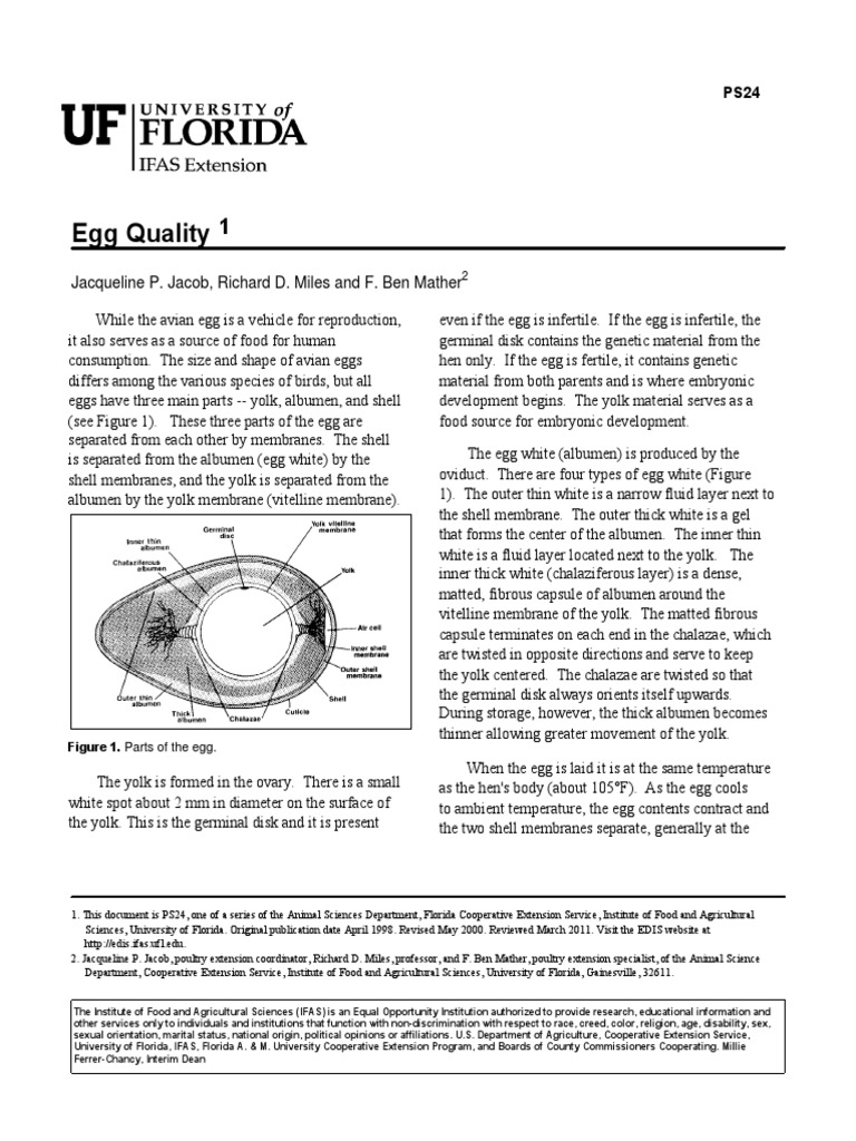 An In-Depth Look at Egg Quality Factors: A Comprehensive Analysis of ...