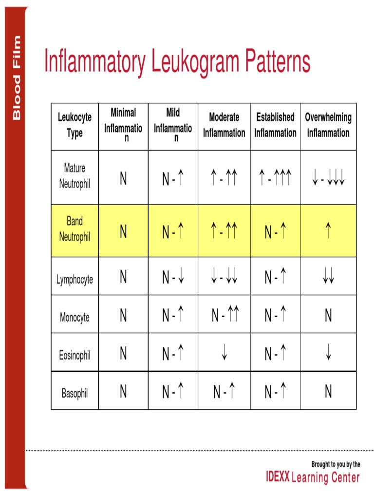 Common Leukogram Patterns | PDF