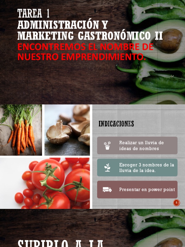 Tarea 1 - Idea, Origen y Génesis Del Proyecto | PDF