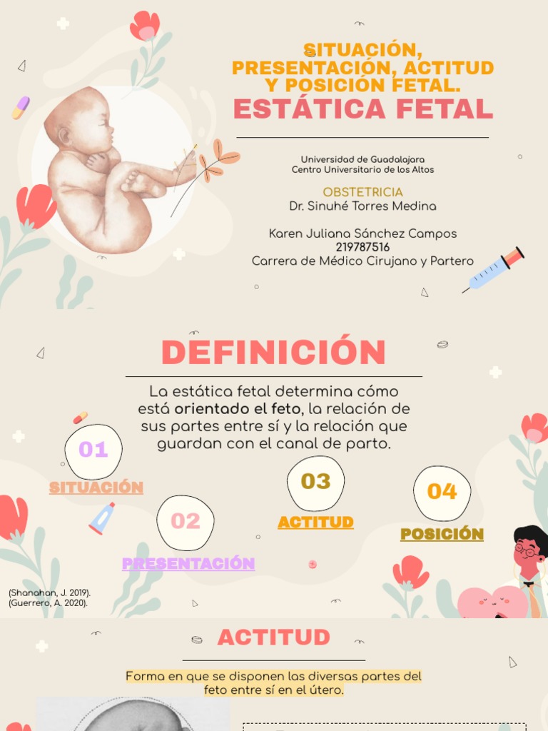 Estática Fetal | PDF | Parto | Salud maternal
