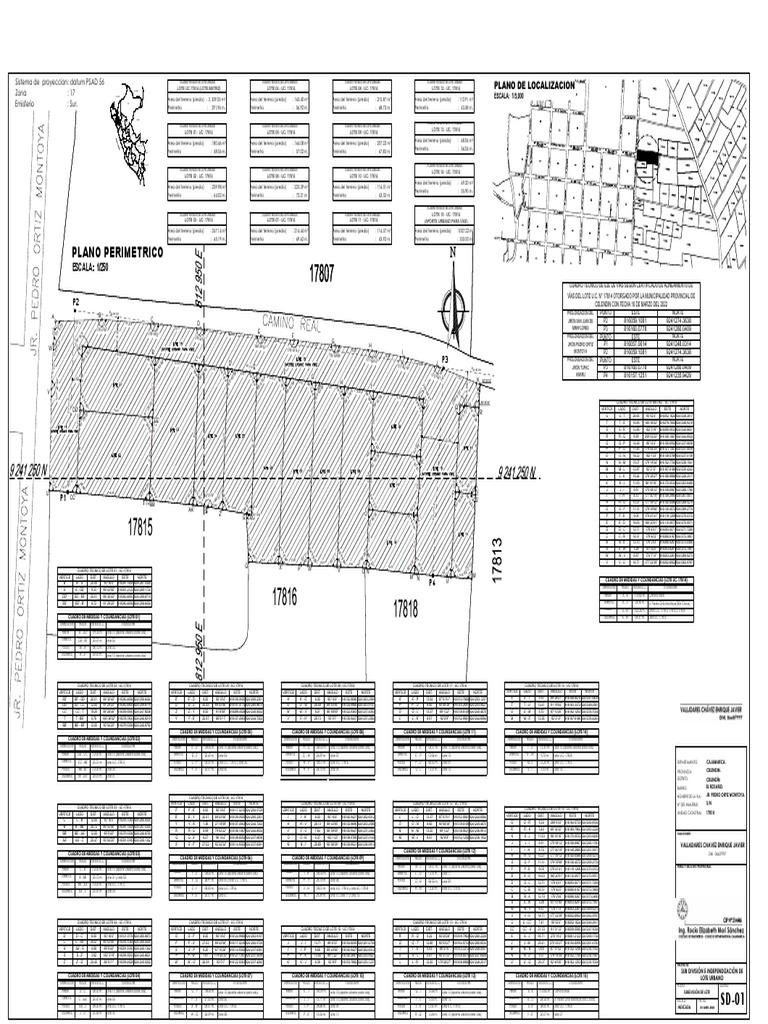 Subdivision Enrique Valladares Fin-SUBDIVISION de LOTE MATRIZ | PDF