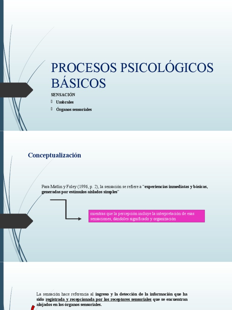 Procesos Psicológicos Básicos Semana 9 | PDF | Gusto | Percepción