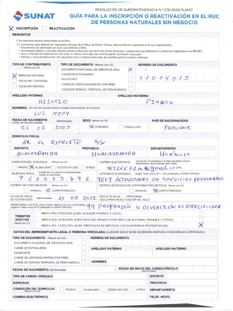 FORMULARIO DE INSCRIPCION SUNAT | PDF