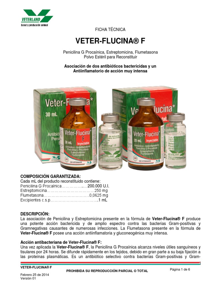 Ficha Técnica Veter Flucina F | PDF | Inflamación | Penicilina
