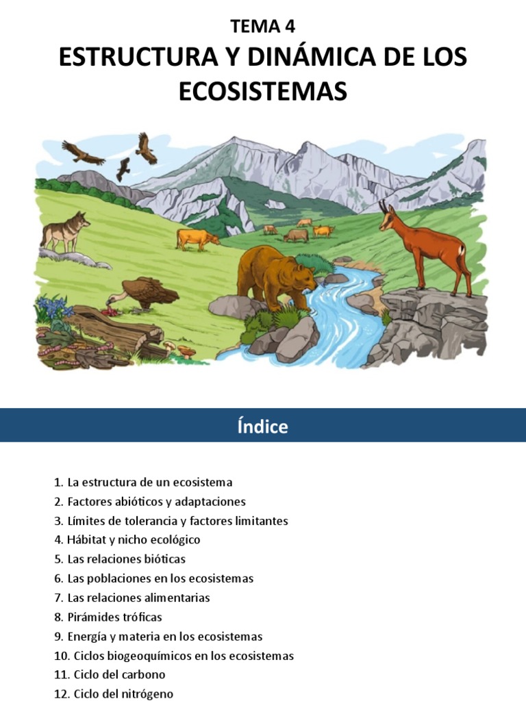 Estructura y Dinámica de Los Ecosistemas | PDF | Ecología | Ecosistema