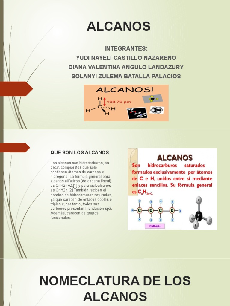 Características y riesgos de los alcanos | PDF | Alcano | Hidrocarburos