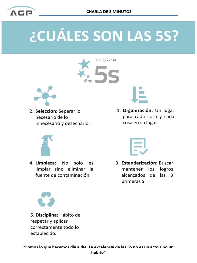 ¿Cuales Son Las 5S | PDF