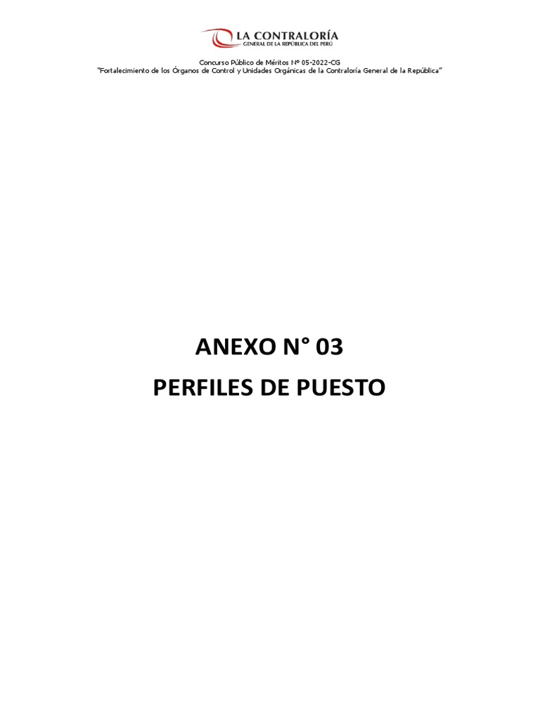 Anexo N°03 Perfiles de Puesto CPM-05 | PDF